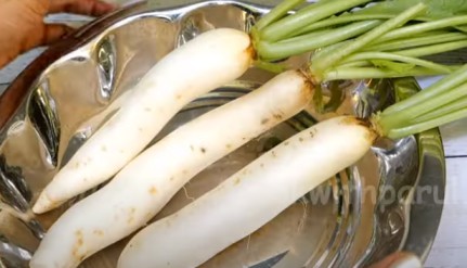 Mooli ka Paratha Recipe | Mooli Paratha Recipe | Mooli Ke Parathe ...