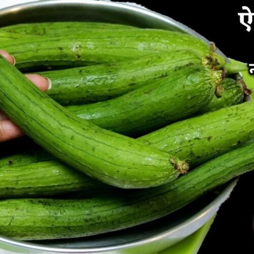 Turai Ki Sabji Recipe | How to make Ridge Gourd Curry at Home | Turai ...